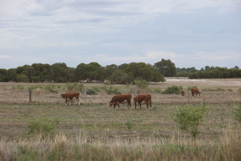 Examples of Backflow Incidents - Shared by Backflow Prevention